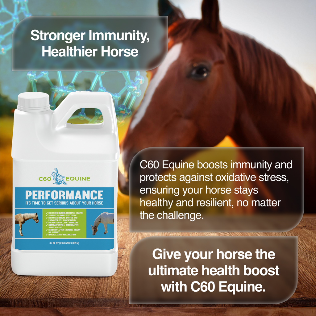 Ultimate C60 Equine Boost: Health & Performance Supplement for Horses ...
